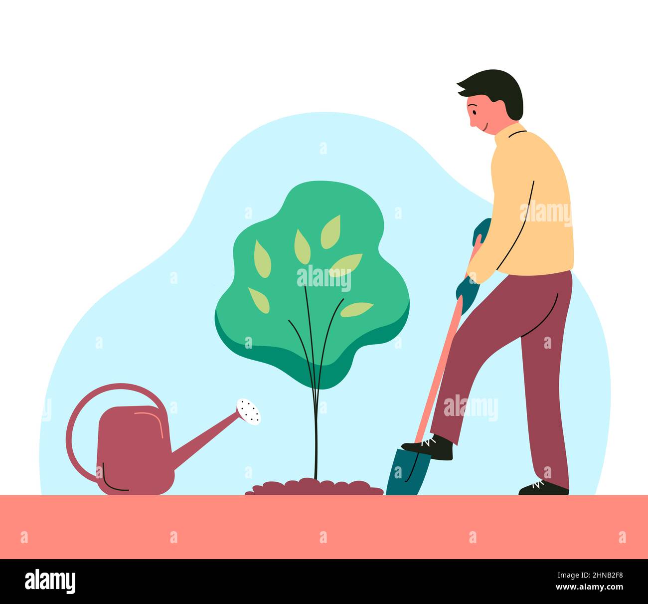 A man is planting a young tree sapling. Digging with a shovel and ...