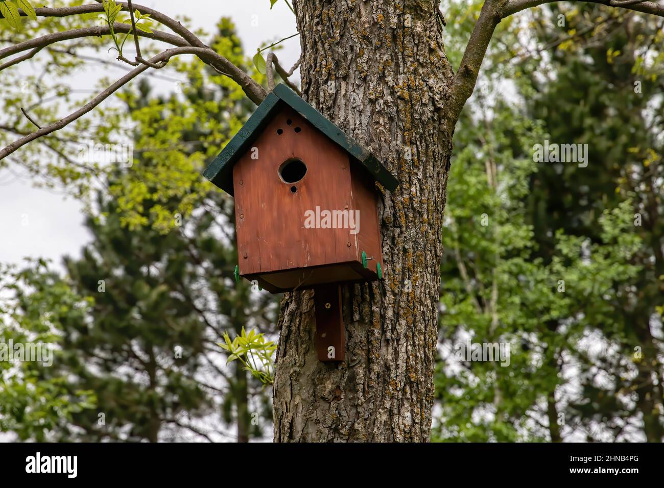 Wooden birdhouse mounted to a tree Stock Photo - Alamy