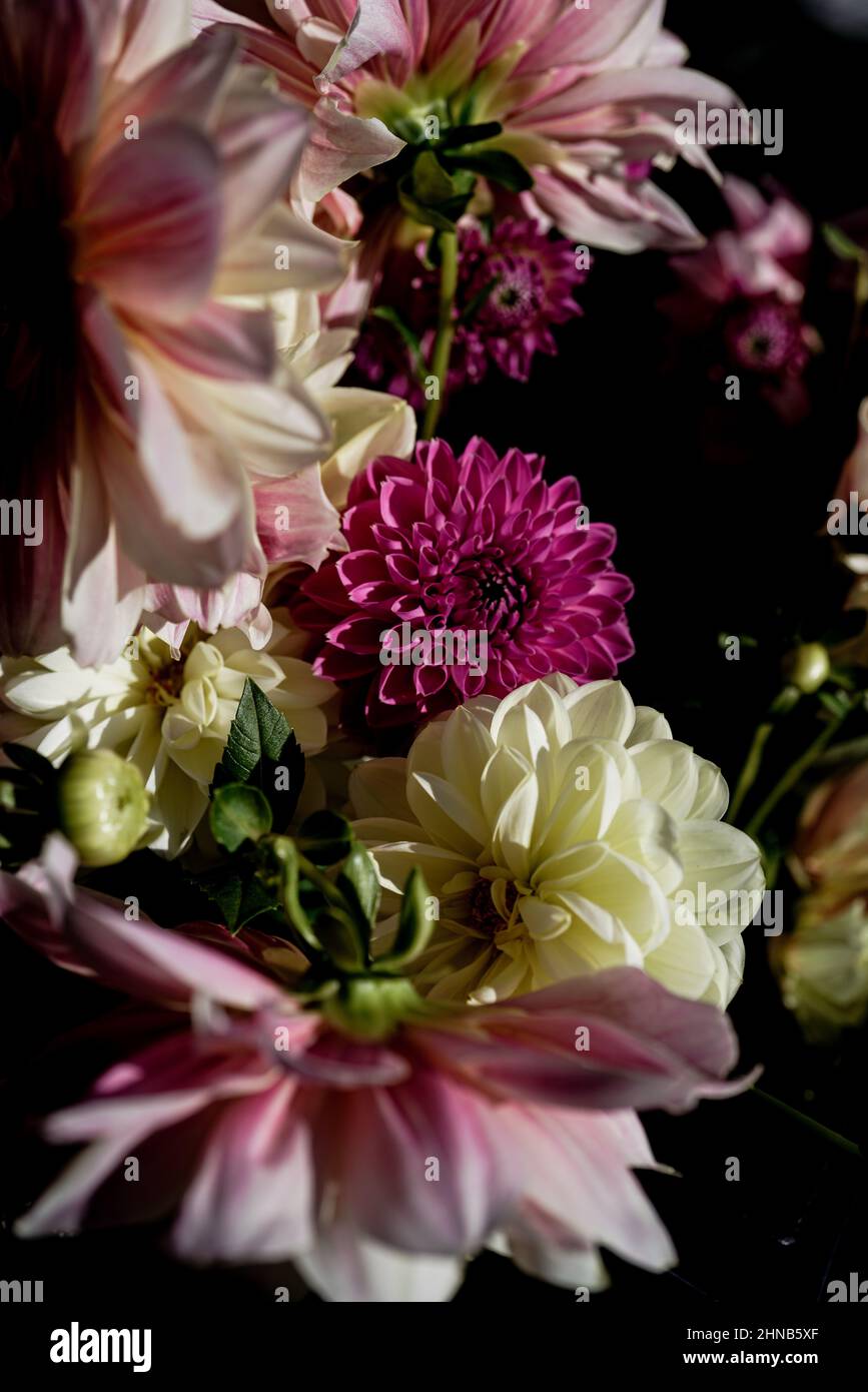 Assemblying bouquets hi-res stock photography and images - Alamy