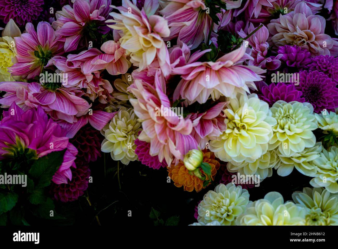 Assemblying bouquets hi-res stock photography and images - Alamy