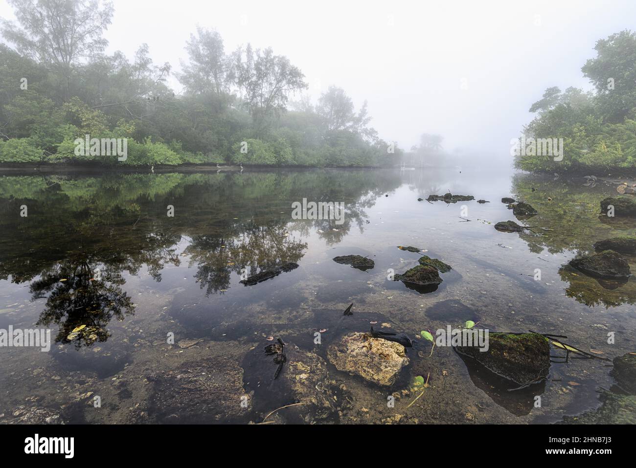 Morning mist rises from the El Rio canal in Boca Raton Stock Photo - Alamy