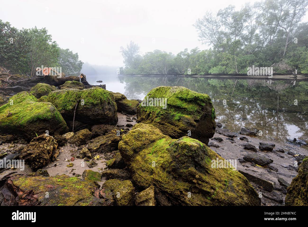 Misty morning on the El Rio canal in Boca Raton Stock Photo - Alamy