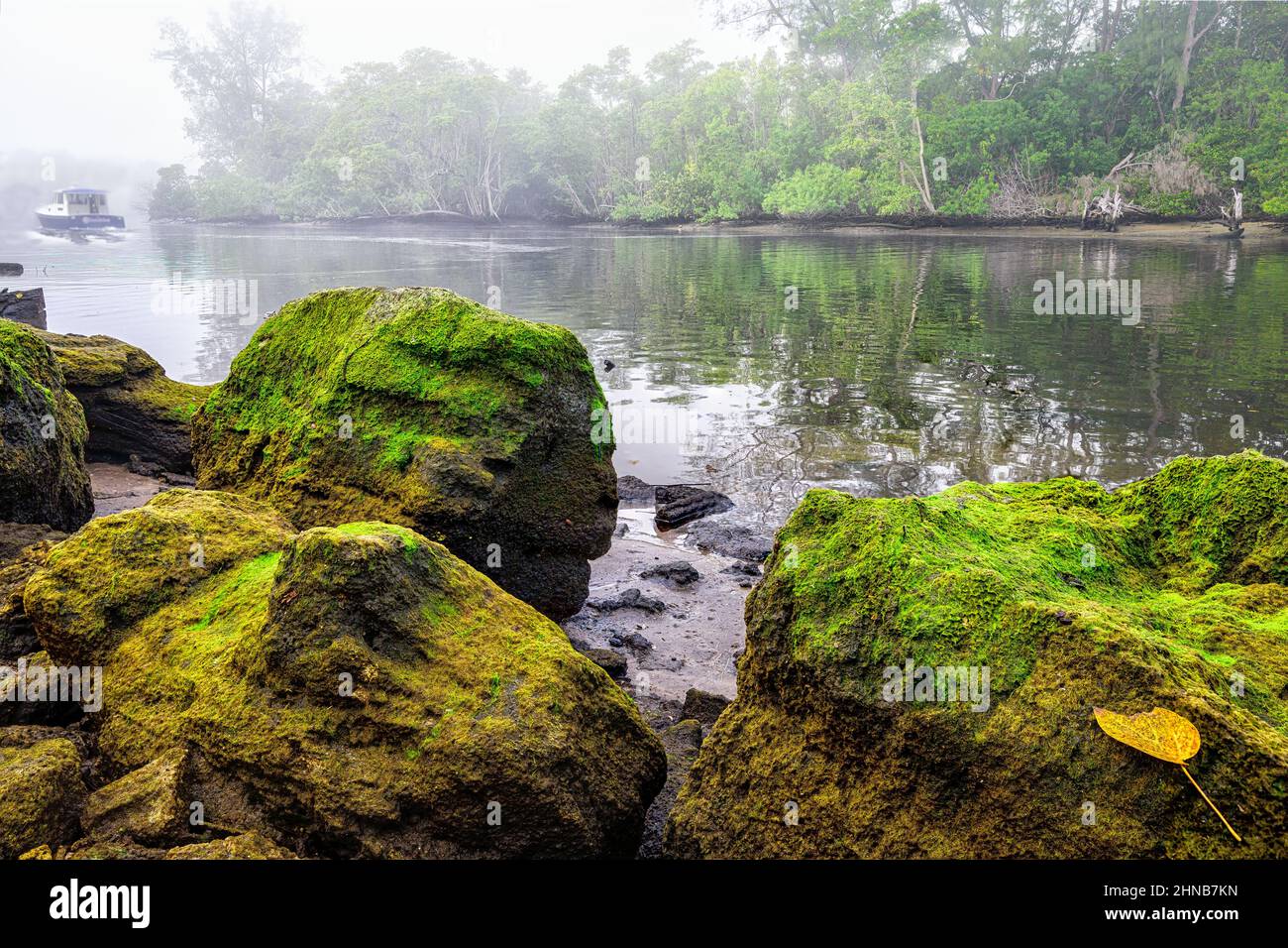 Out of the mist hi-res stock photography and images - Alamy