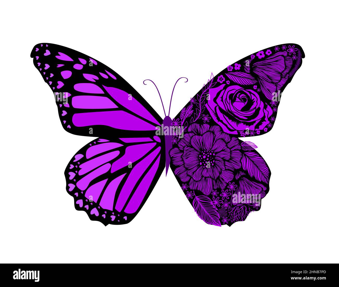 Butterfly Violet from patterns. Vector Patterned illustration for ...