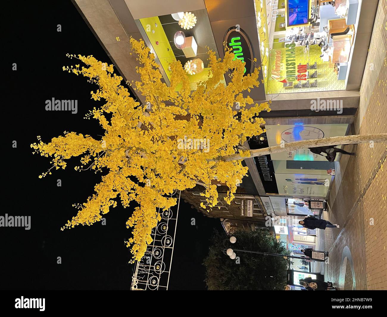 Yellow tree at the London Kingston Eden High Street Stock Photo - Alamy