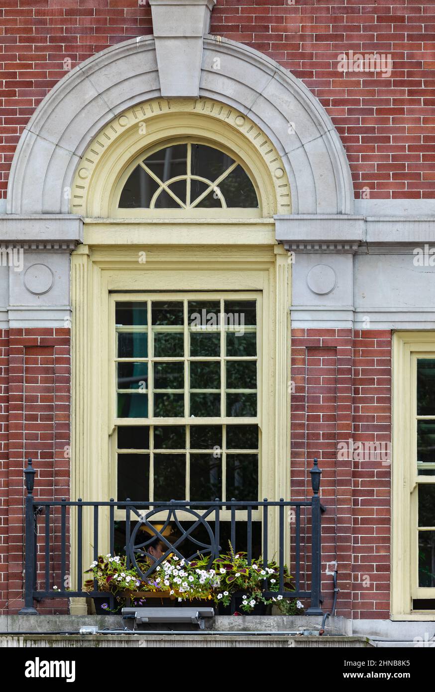 Vintage arch window decorated with variety of flower and plants. An ...