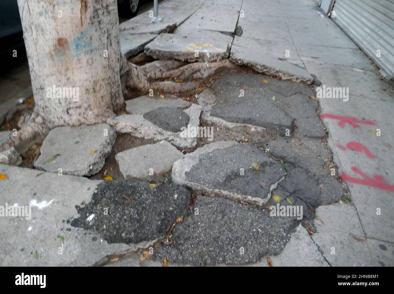 Los Angeles, California, USA 12th February 2022 Broken Cracked sidewalk ...