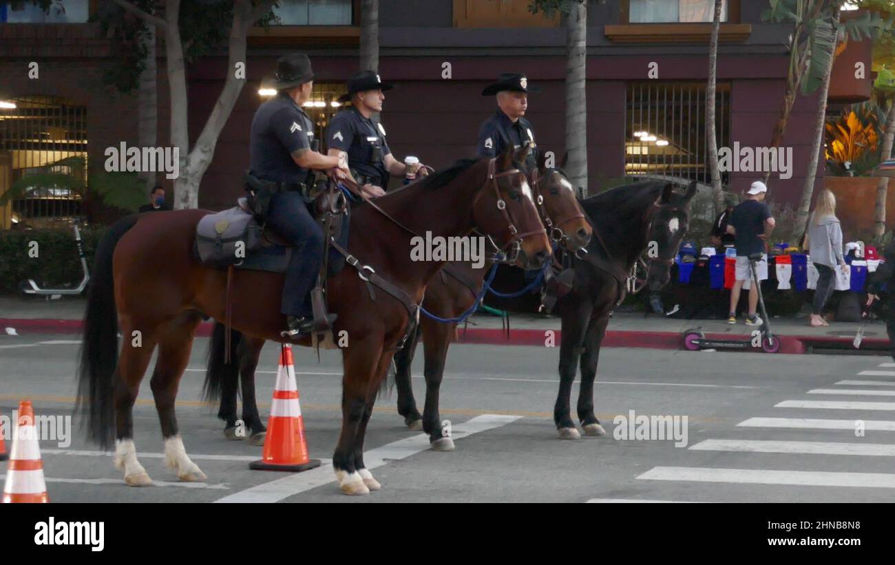 Lapd horses hi-res stock photography and images - Alamy