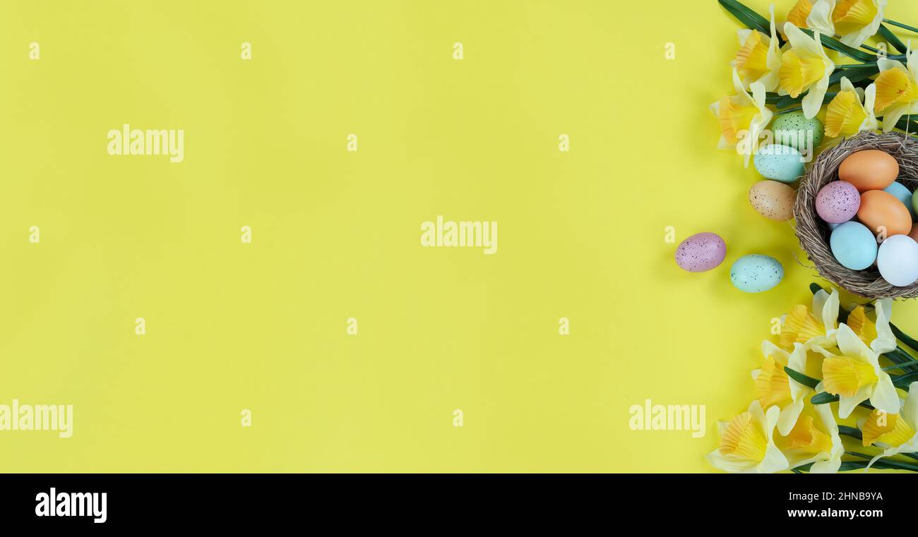 Daffodil border hi-res stock photography and images - Alamy