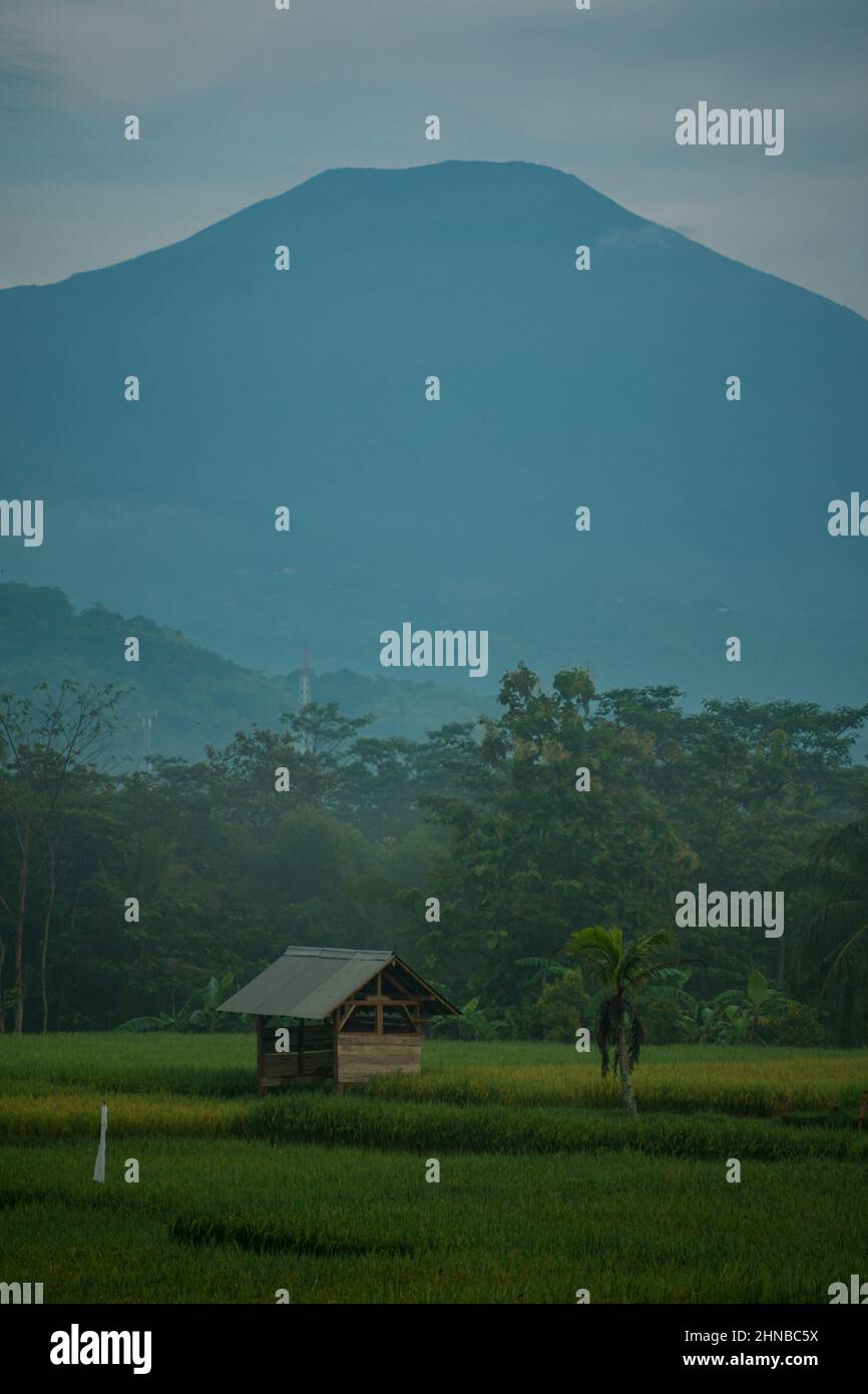 Kuningan city hi-res stock photography and images - Alamy