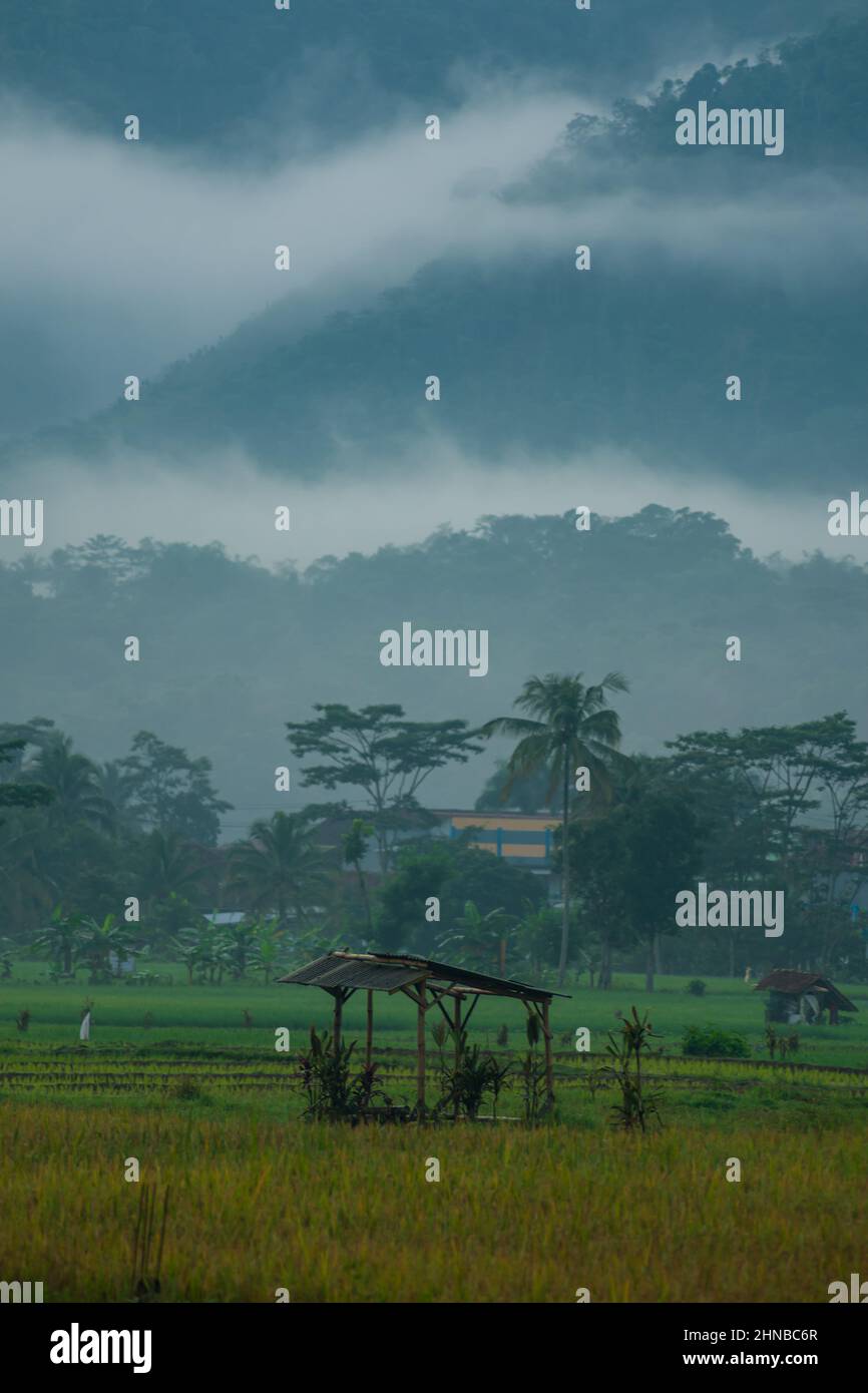 Kuningan city hi-res stock photography and images - Alamy