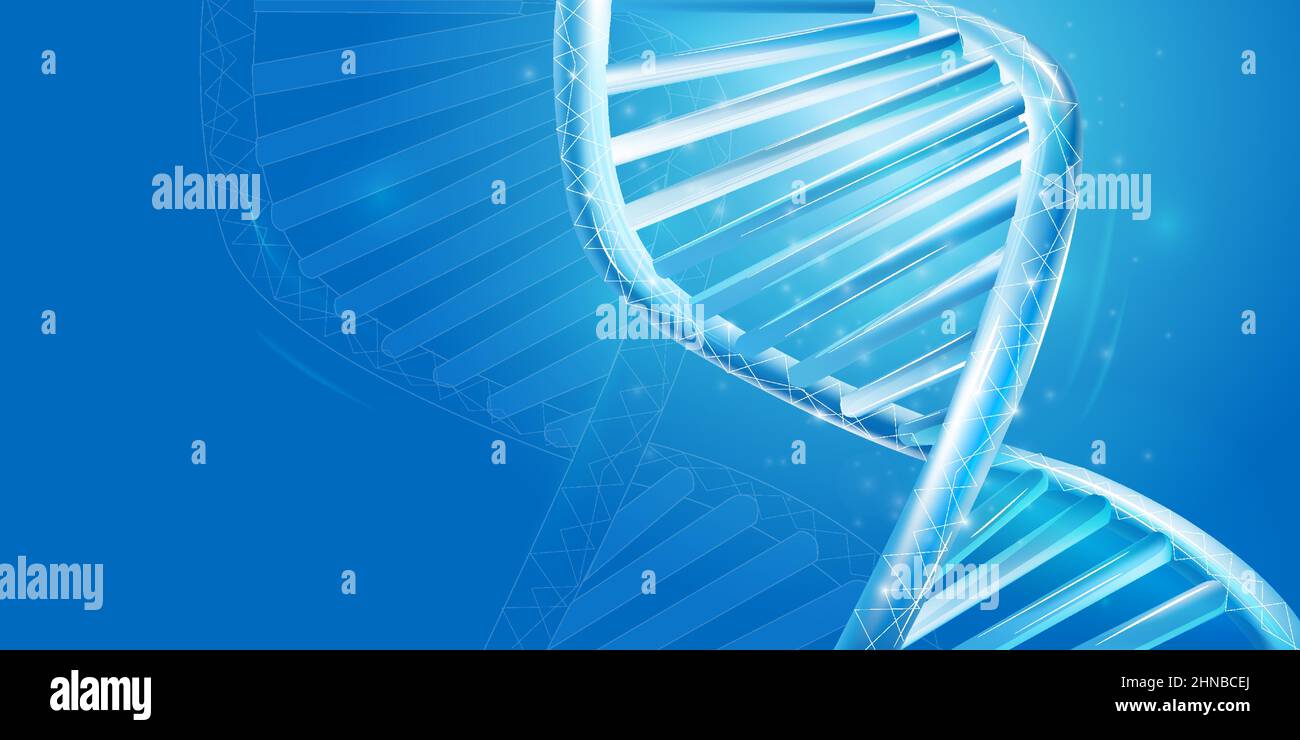 Dna deoxyribonucleic acid strand Stock Vector Images - Alamy