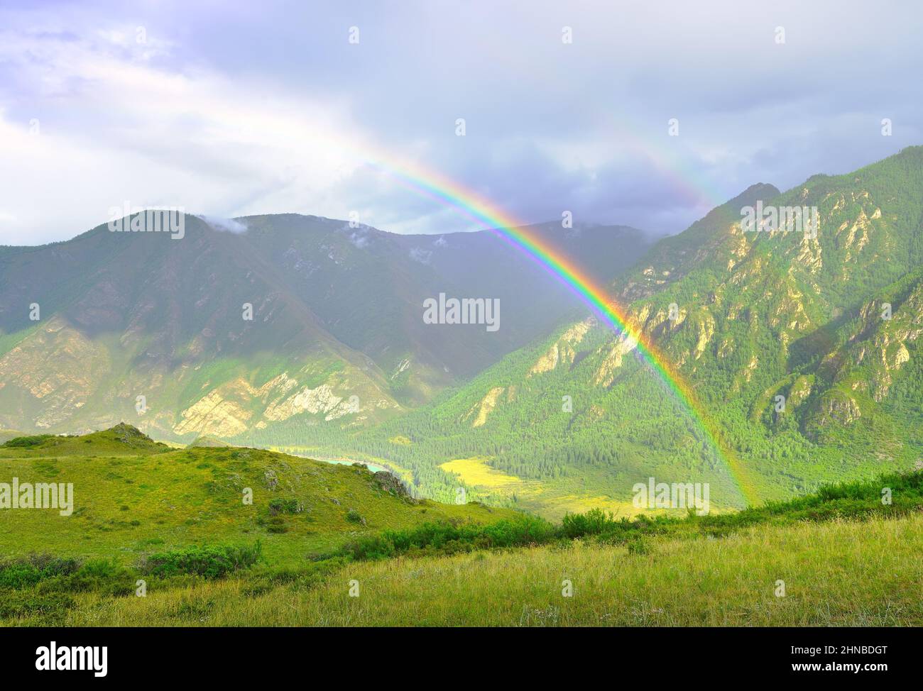 Katun River gorge, rocky mountains covered with vegetation. Siberia ...