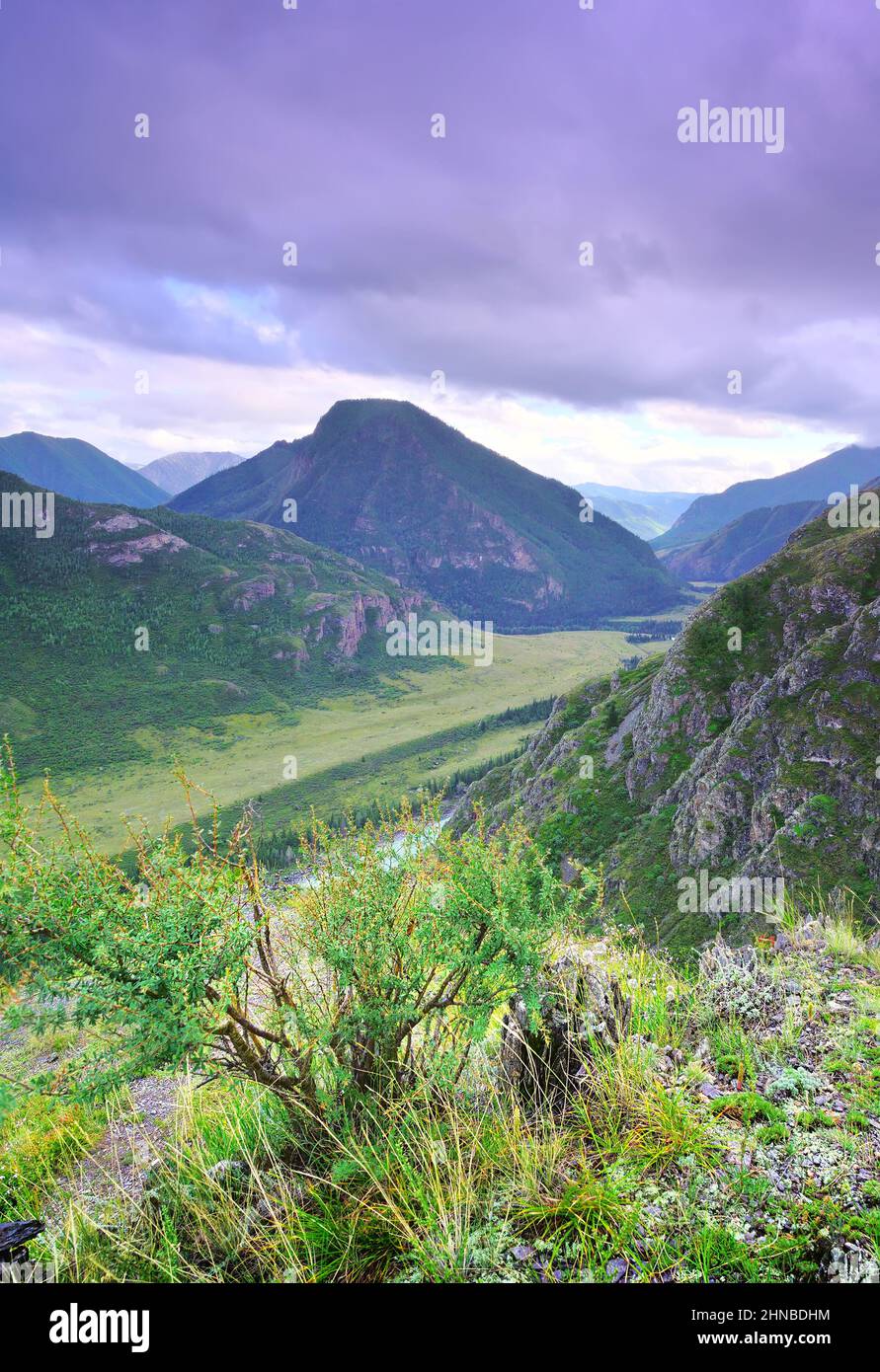 Rocky peaks covered with vegetation. Siberia, Russia Stock Photo - Alamy