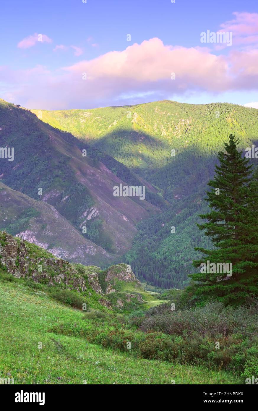 Mountain slopes covered with grass under a blue sky. Siberia, Russia ...