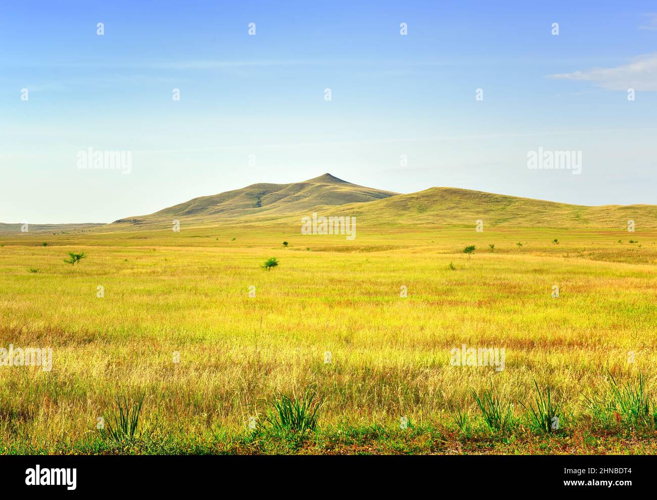Yellow grass at the foot of the conical hills in summer under a blue ...