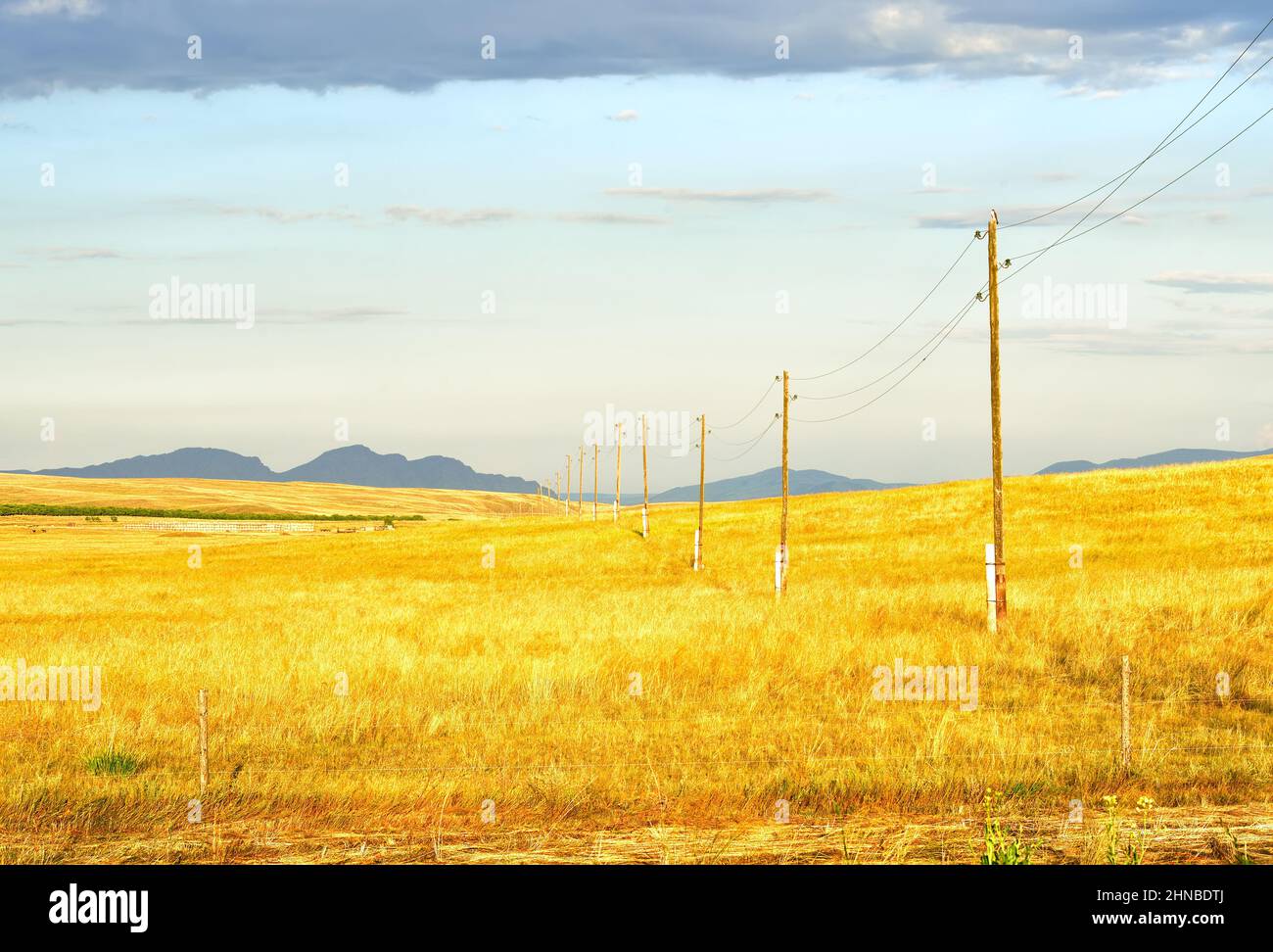 Golden grass against the background of distant mountains in summer ...