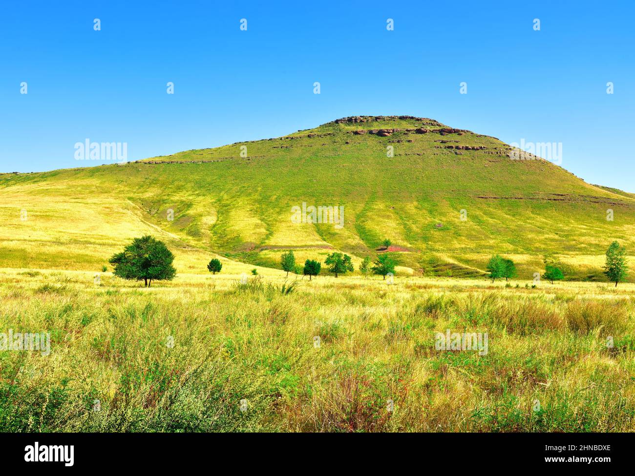 Autumn steppe vegetation under a clear blue sky. Krasnoyarsk Territory ...