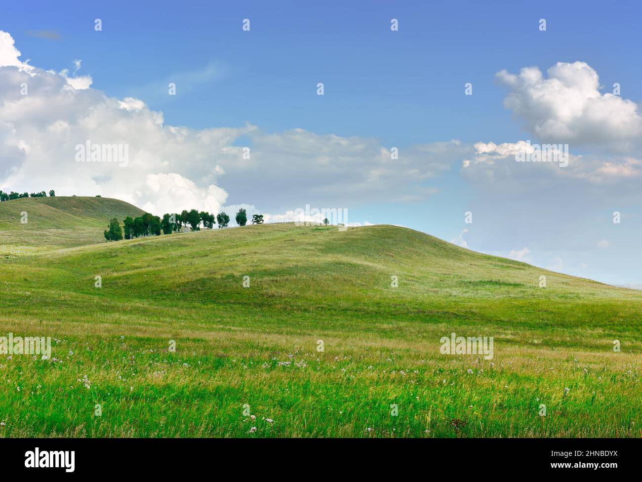 Summer steppe in a hilly area under a blue cloudy sky. Siberia, Russia Stock Photo - Alamy