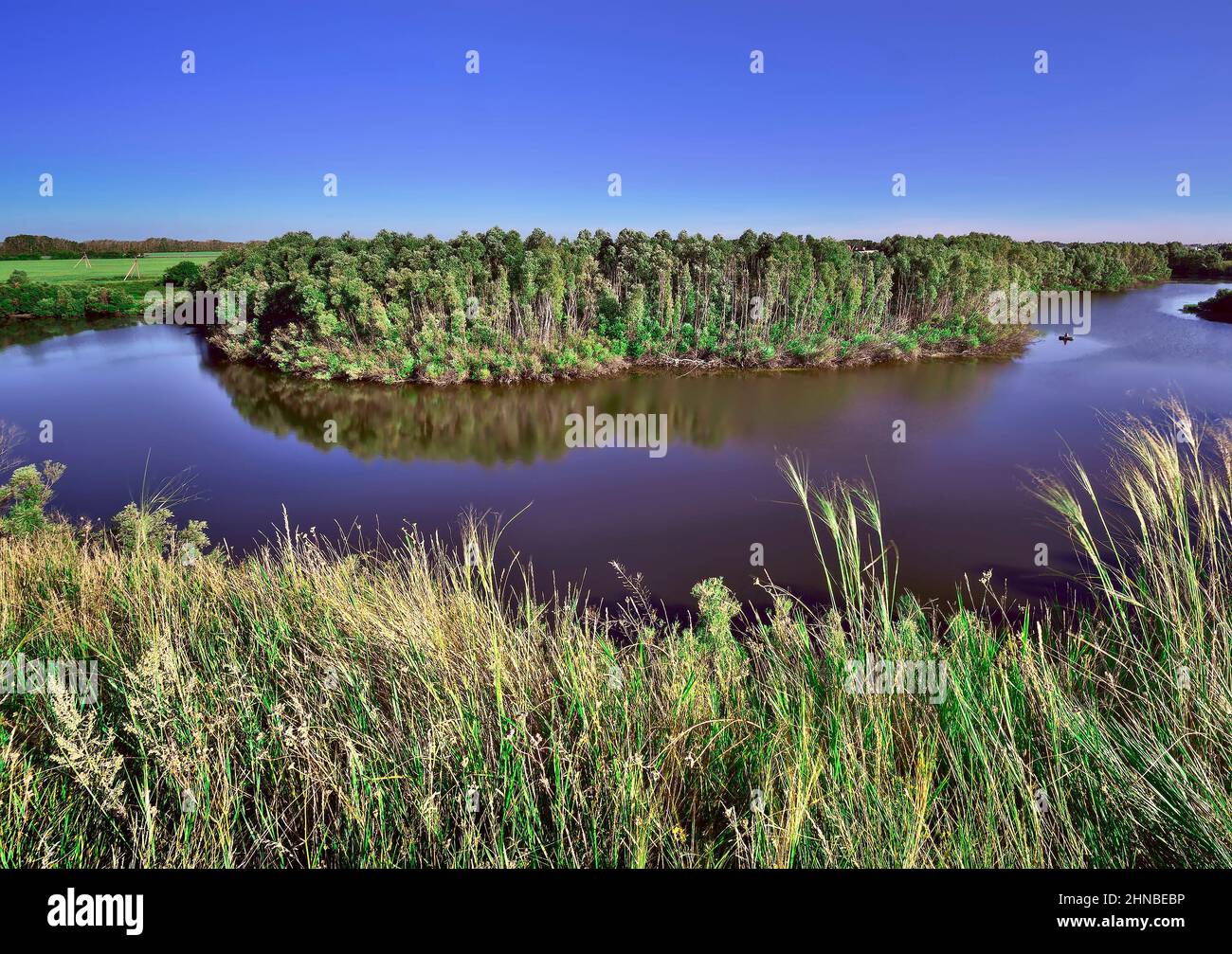 Thick grass over the Tula riverbed under a cloudy sky. Novosibirsk ...