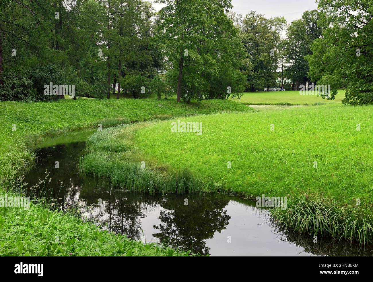 Riverbank covered with green grass hi-res stock photography and images ...