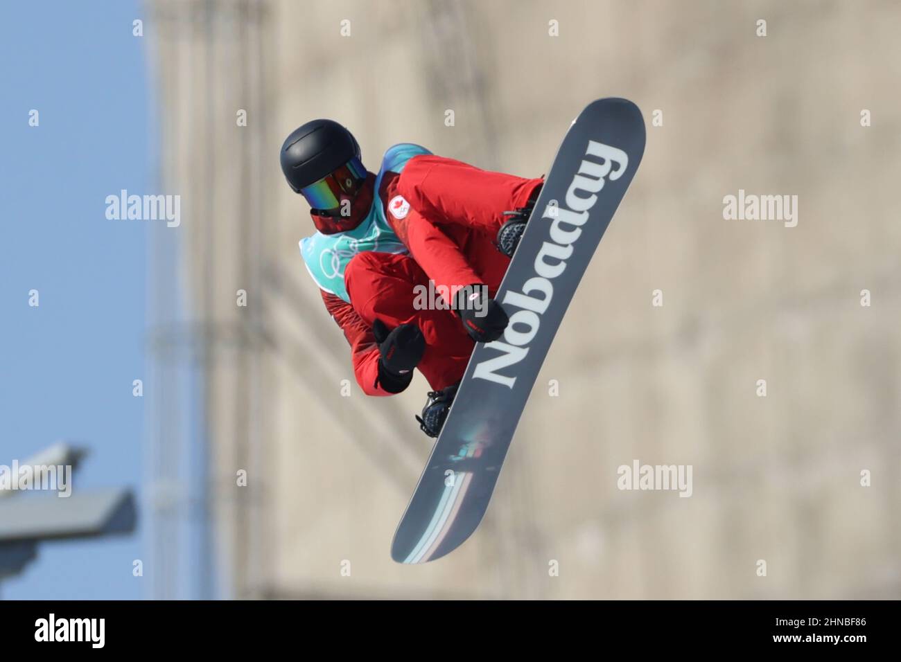Max parrot hi-res stock photography and images - Alamy