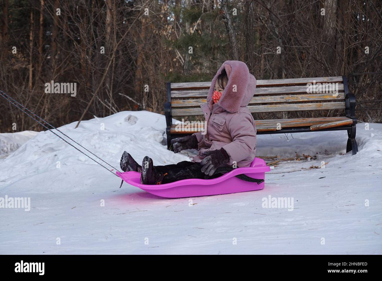 Toddler sledging hi-res stock photography and images - Alamy