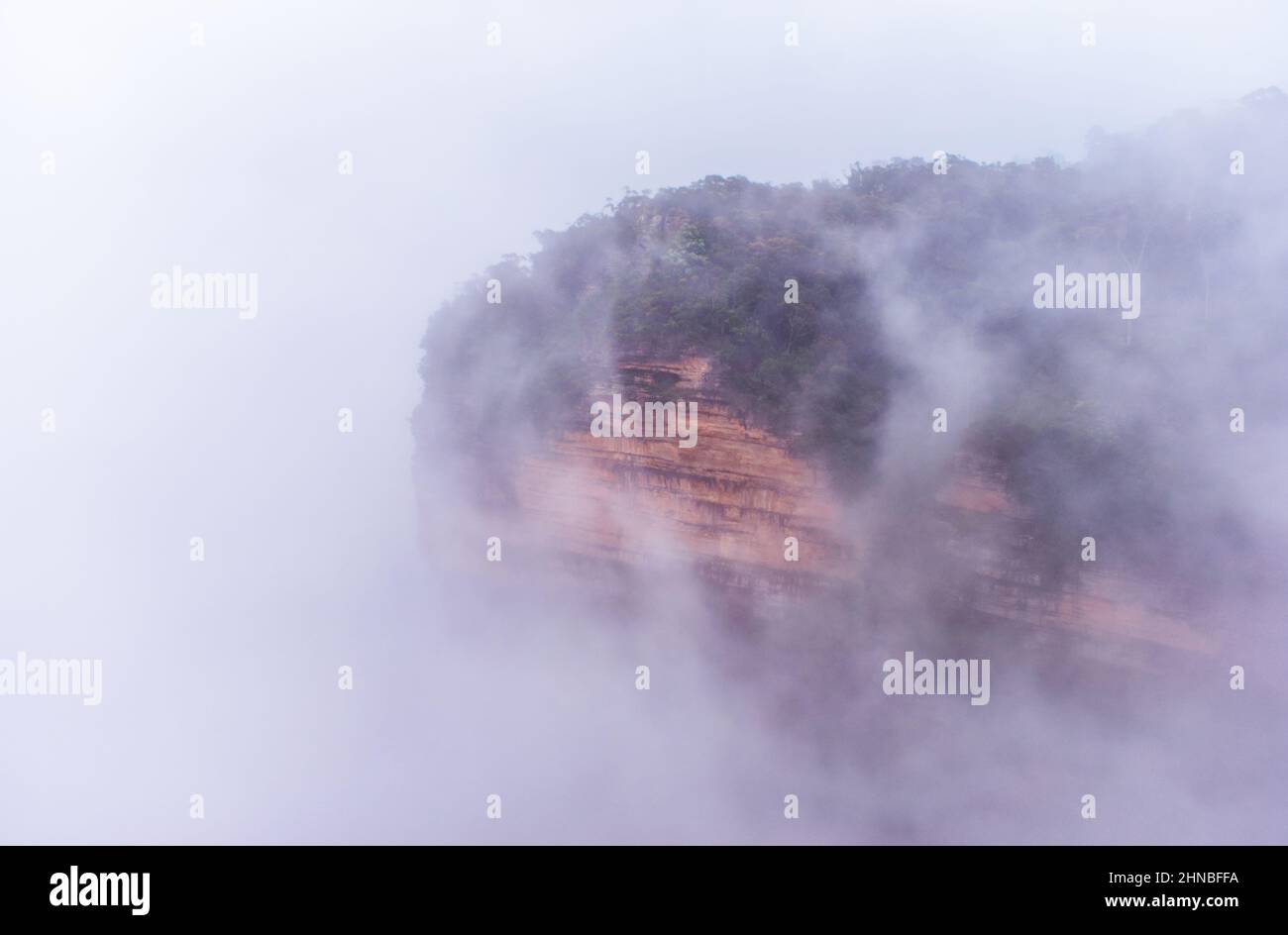 Heavy fog over a rock with dense trees Stock Photo - Alamy