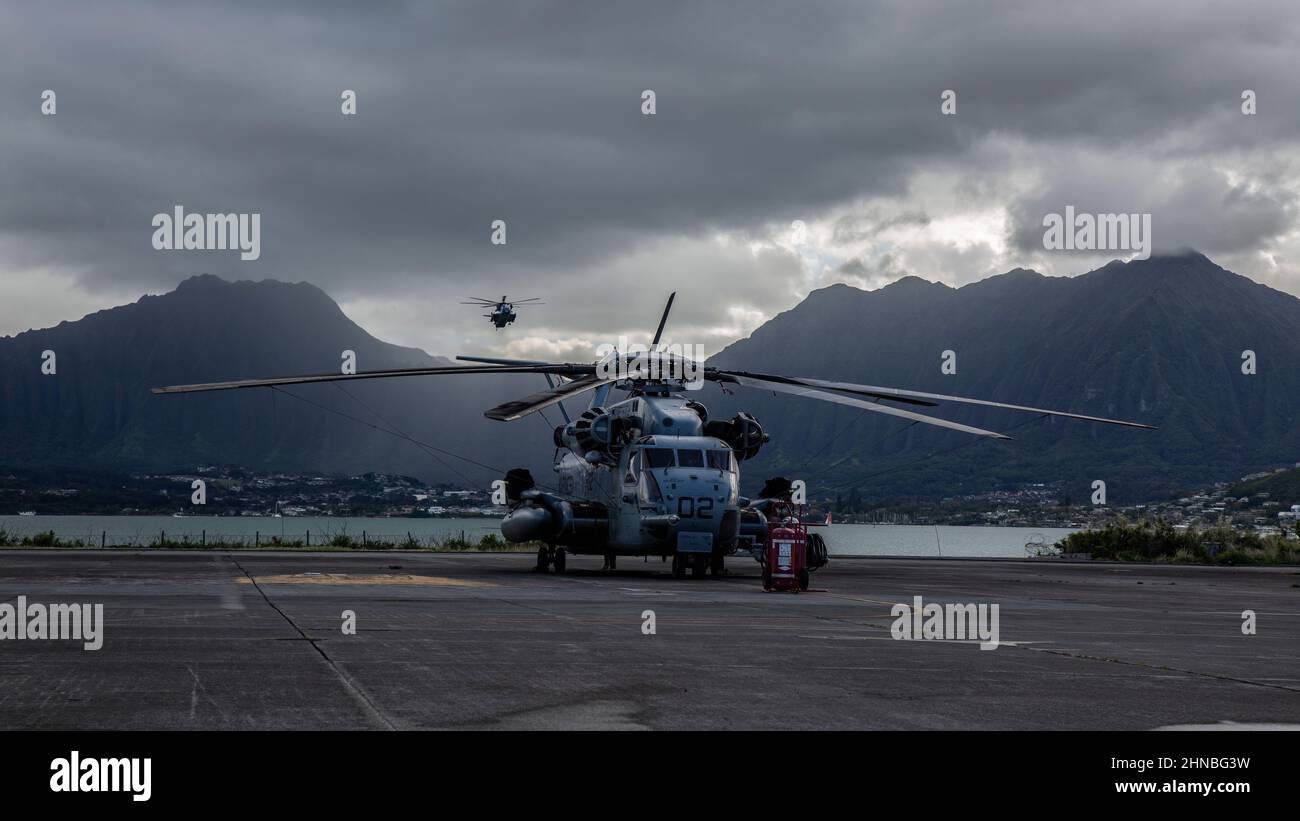 U.S. Marine Lt. Col. Kelly Allen commanding officer of Marine Heavy ...