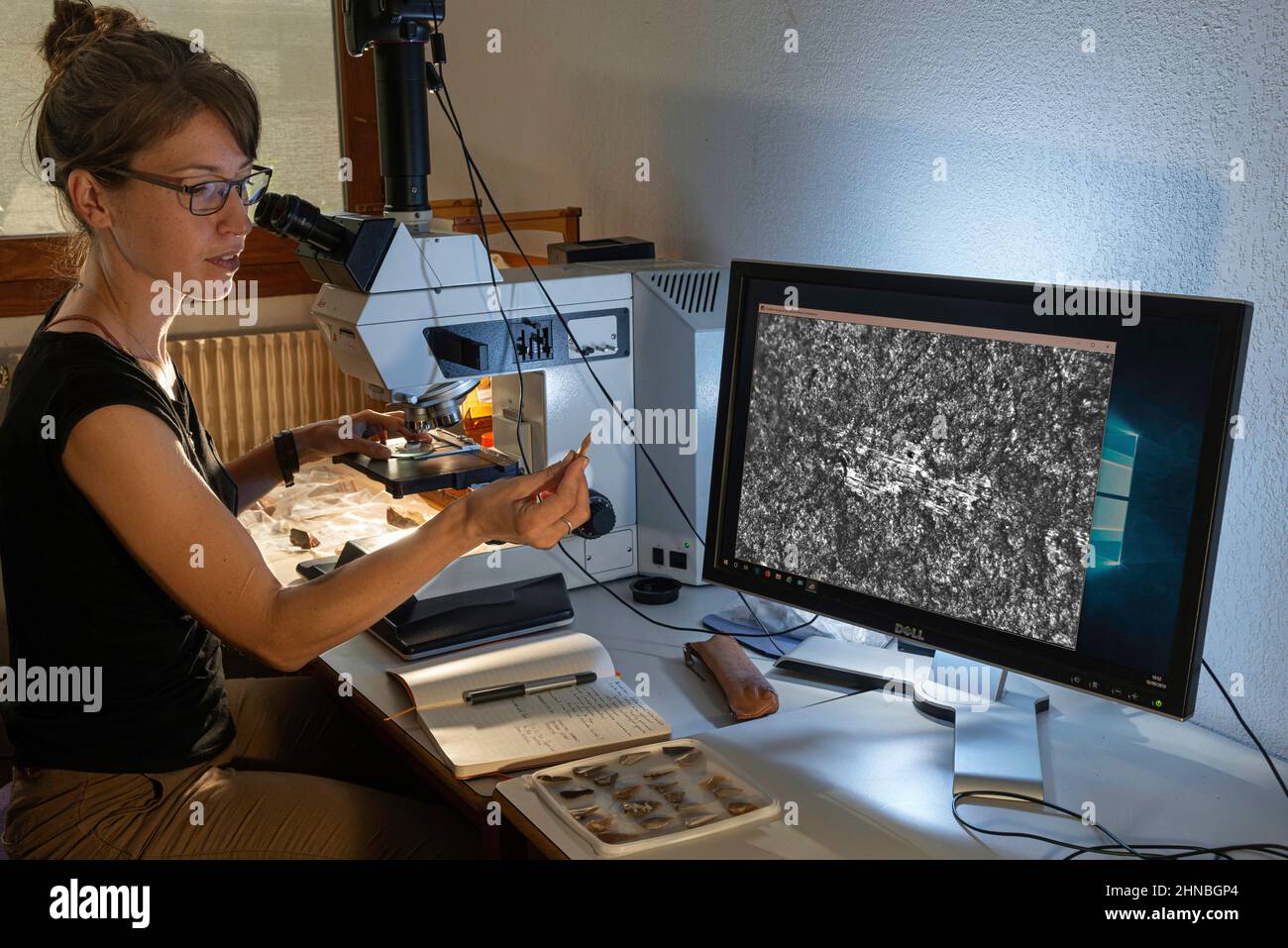 Analysis of prehistoric flint tool Stock Photo - Alamy