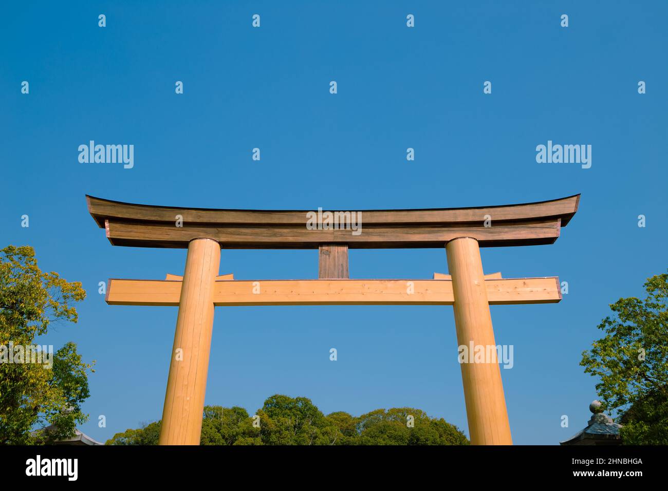 Torii traditional Japanese gate at Kashihara Shrine in Nara, Japan ...