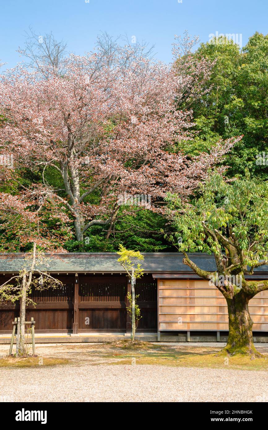 Kashihara hi-res stock photography and images - Alamy