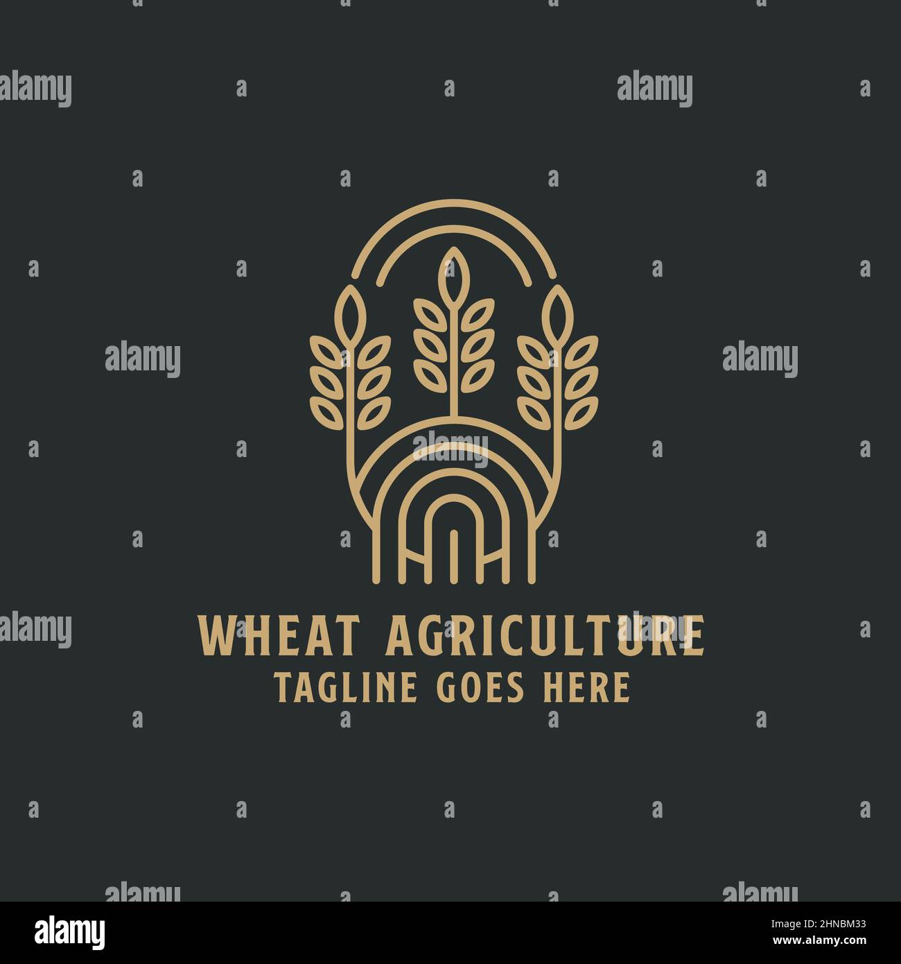 Vintage line art wheat farm agriculture logo inspiration, botanic ...