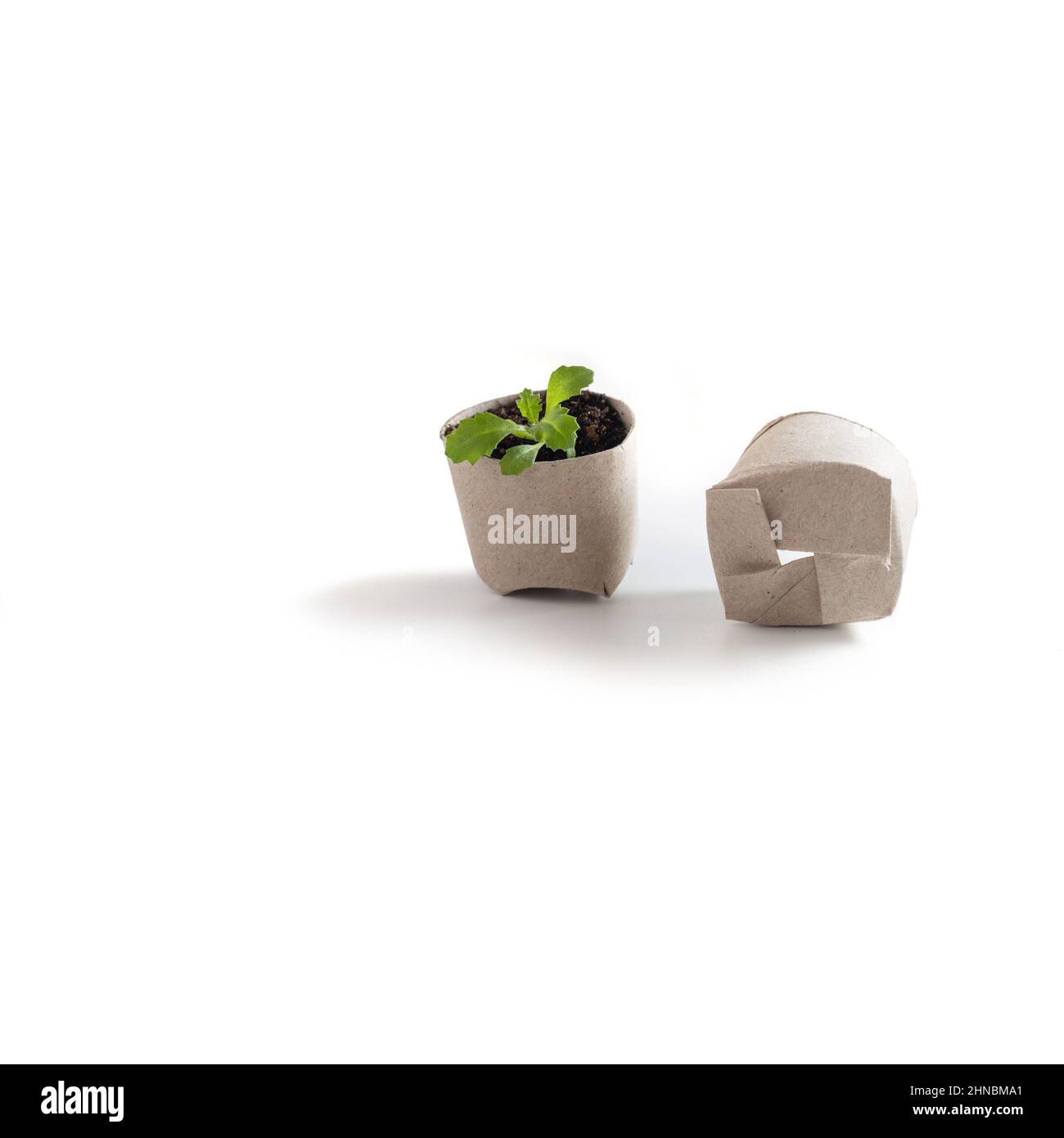 Biodegradable tube pots hi-res stock photography and images - Alamy