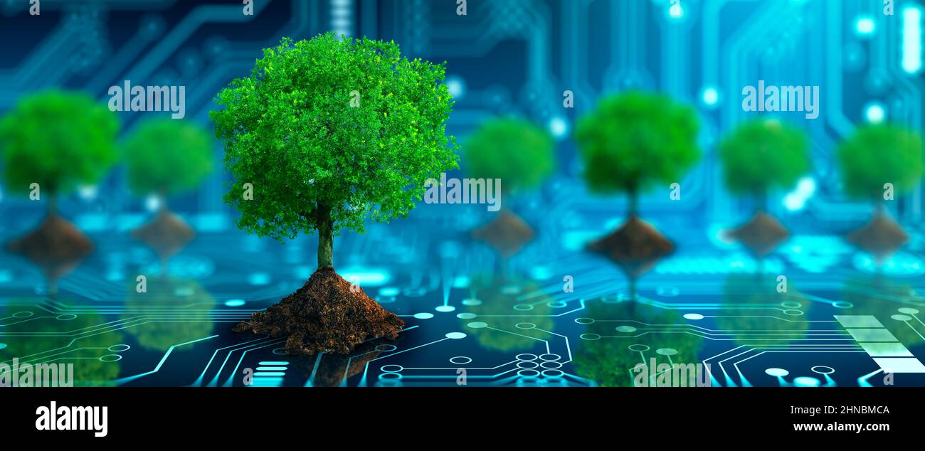 Tree with soil growing on the converging point of computer circuit ...
