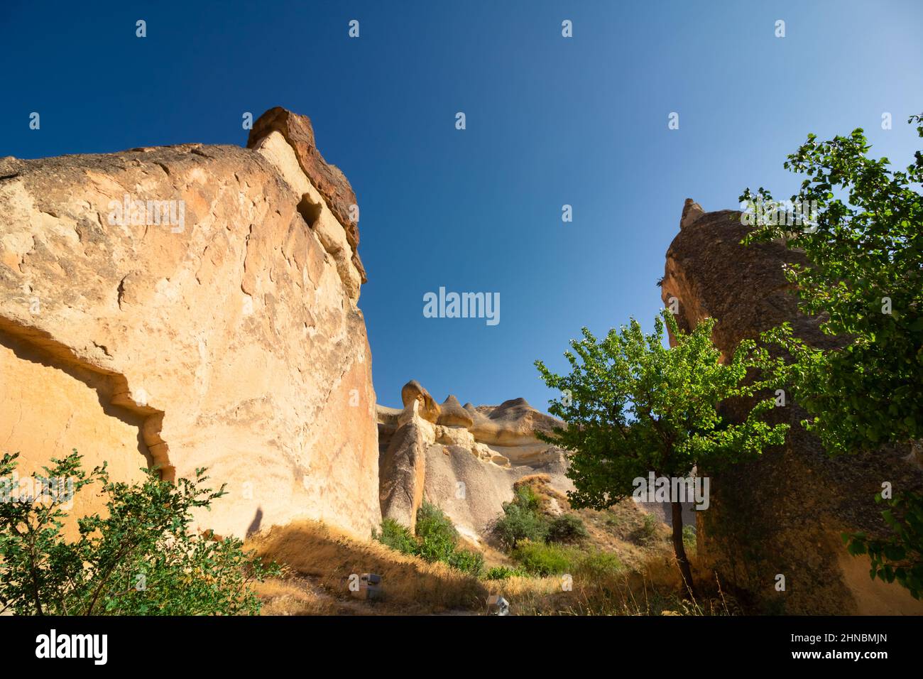 Pasabagi in Cappadocia. Fairy Chimneys or hoodoos in Goreme. Travel to ...
