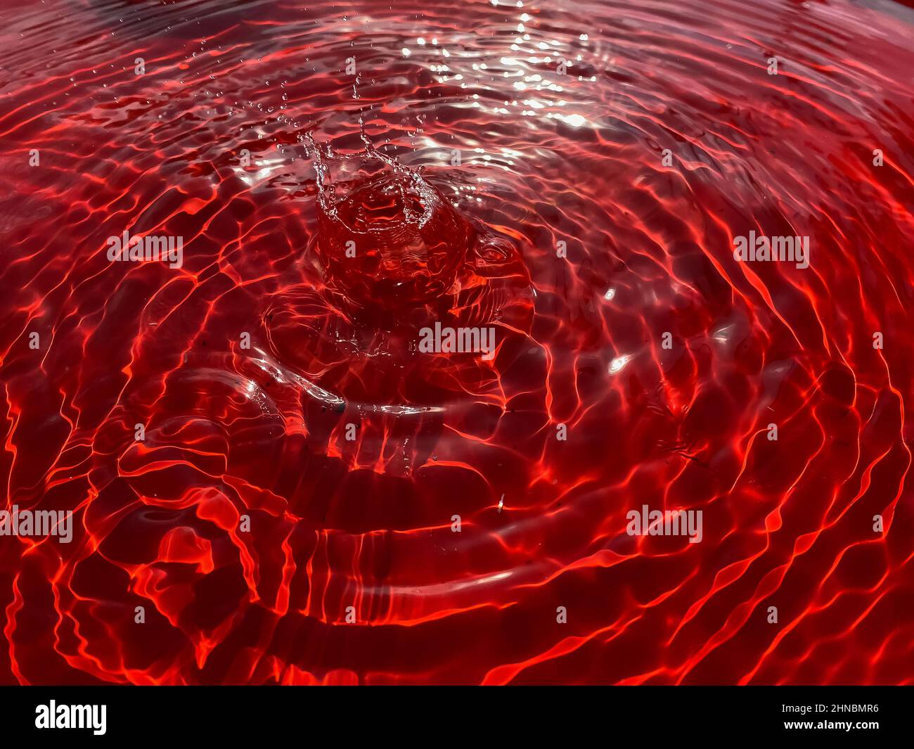 Close-up rain drips on a red background and leaves circles on the water ...