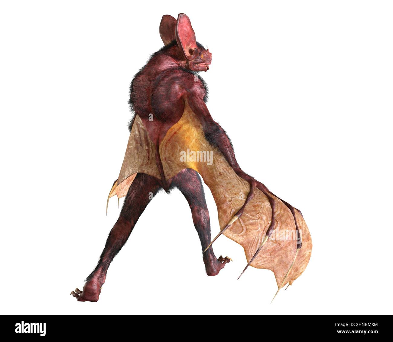 3D illustration vampire isolated in white background Stock Photo - Alamy