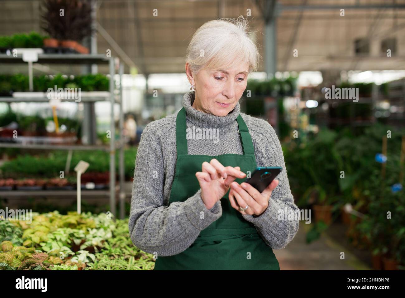 Aged female garden shop owner checking messages on smartphone Stock ...