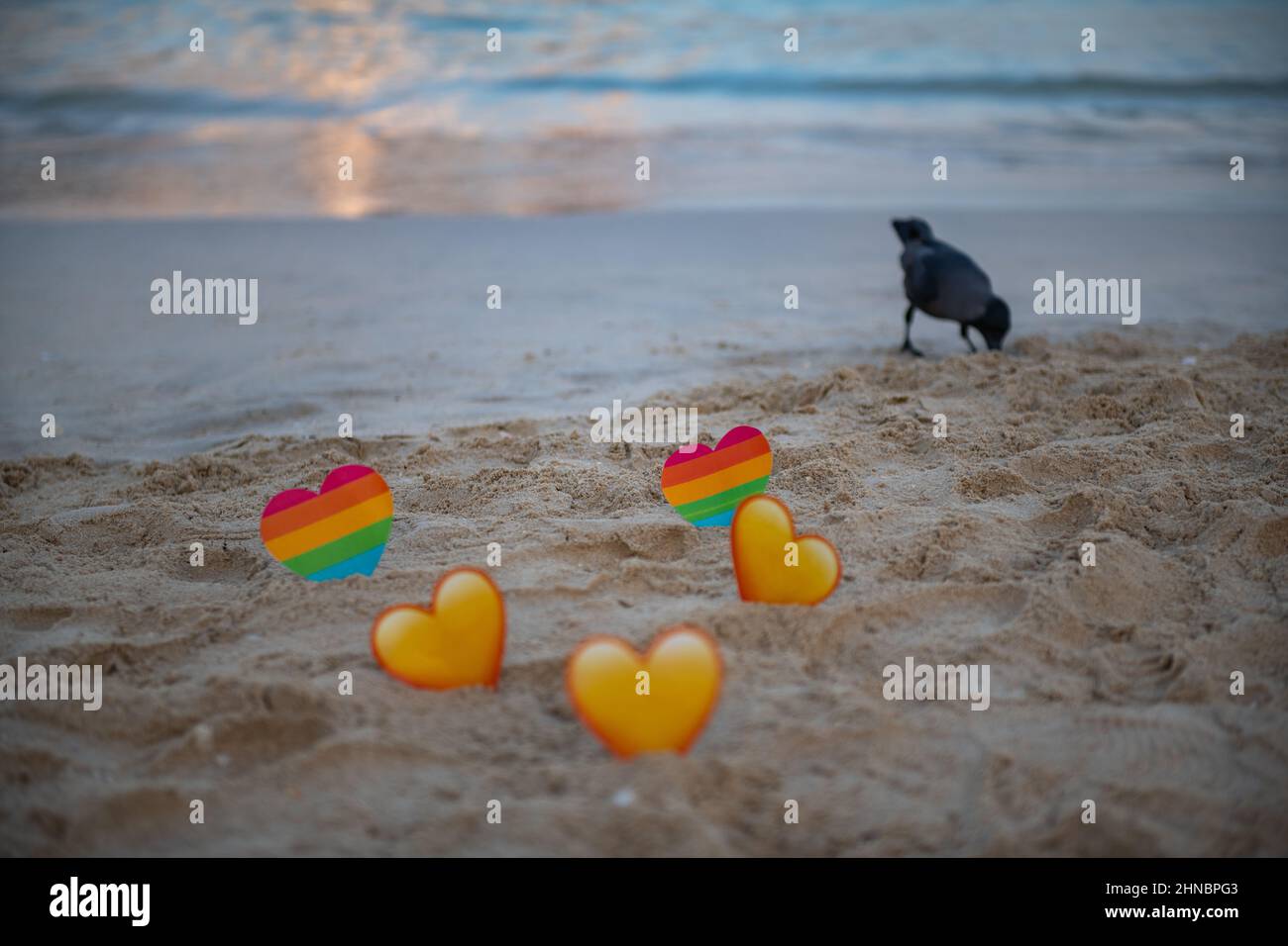 crow and lgbt and yellow hearts in the sand are standing Stock Photo ...