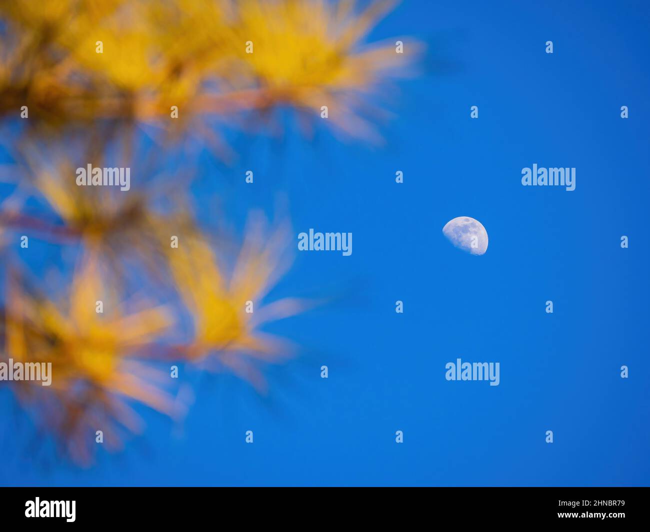 Afternoon moon shot hi-res stock photography and images - Alamy