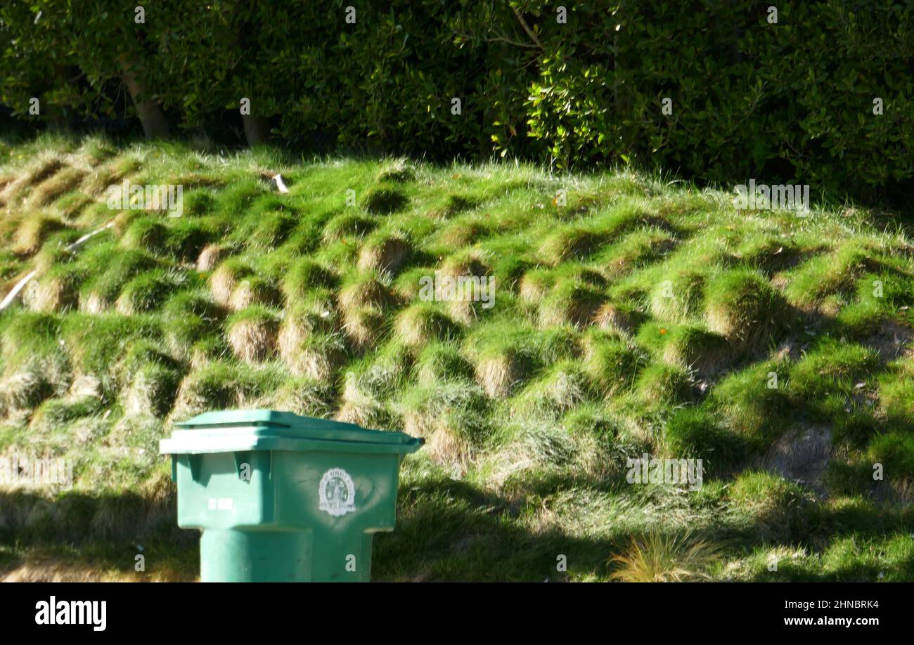Beverly Hills, California, USA 12th February 2022 Comedian Groucho Marx ...