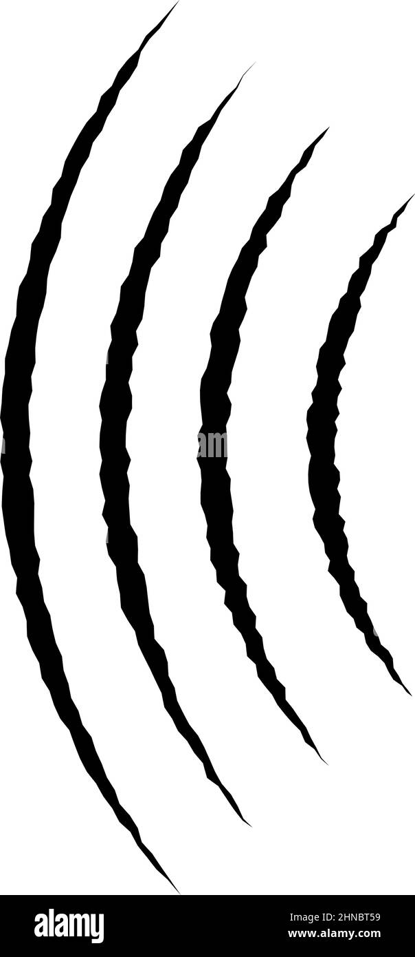 Cat scratches. Black claws animal scratch, Torn paper. Cat claws trace ...