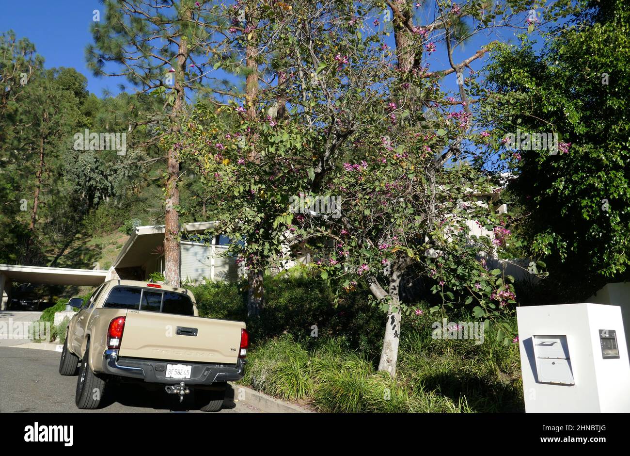 Beverly Hills, California, USA 12th February 2022 Music Executive ...