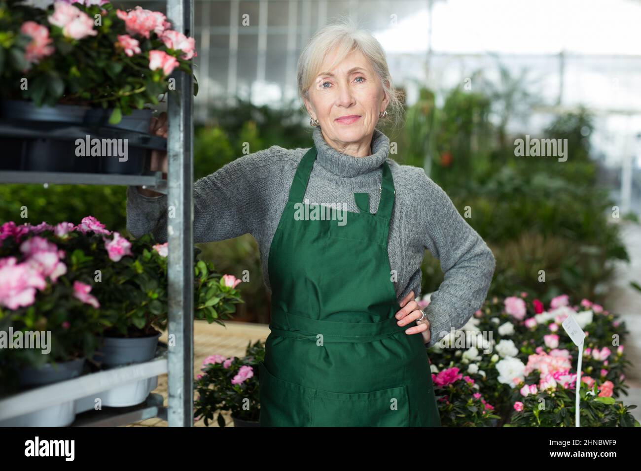 Smiling positive female florist hi-res stock photography and images - Alamy