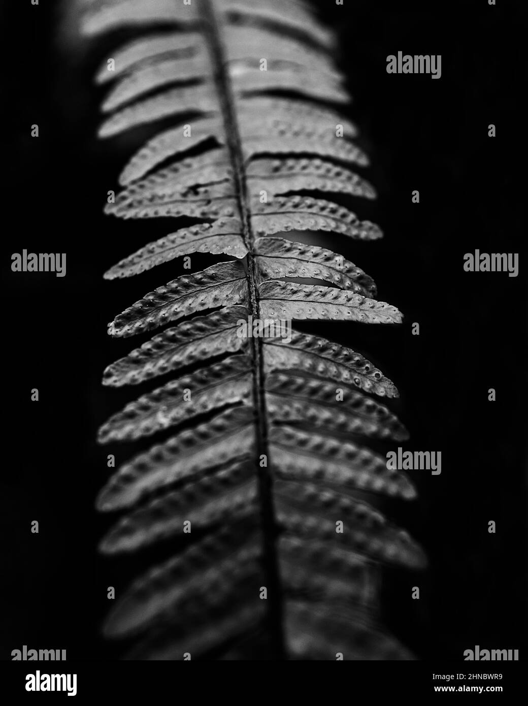 walking the line Stock Photo - Alamy