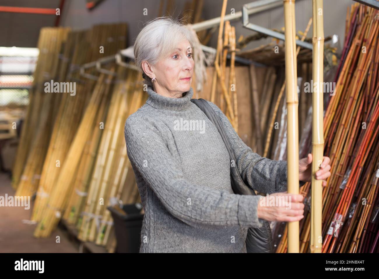 Mature bamboo hi-res stock photography and images - Alamy