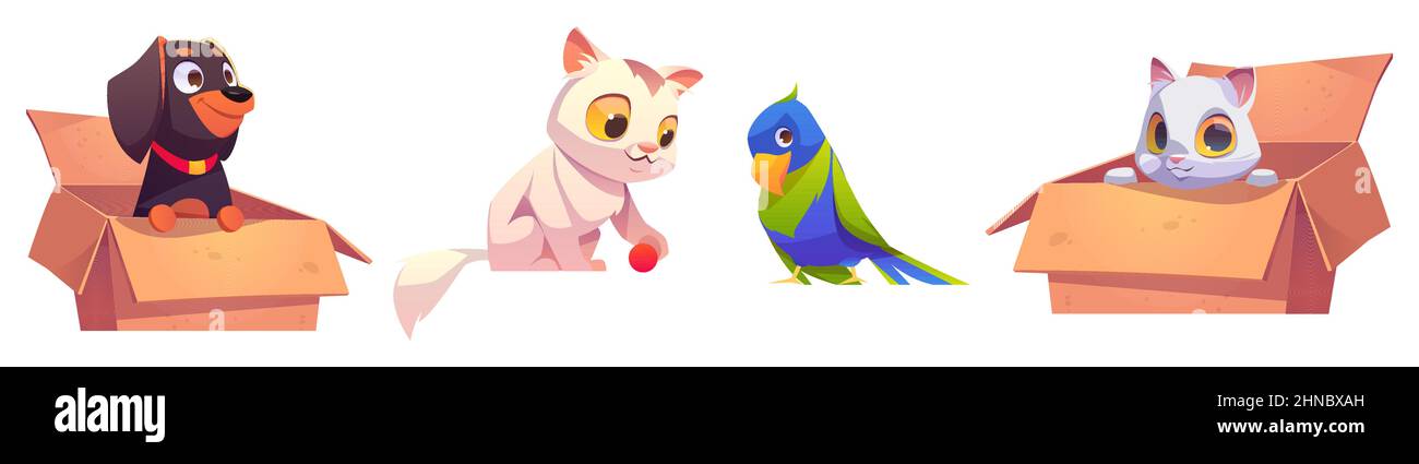 Home pets, cute dog, parrot and cat characters. Vector cartoon set of ...