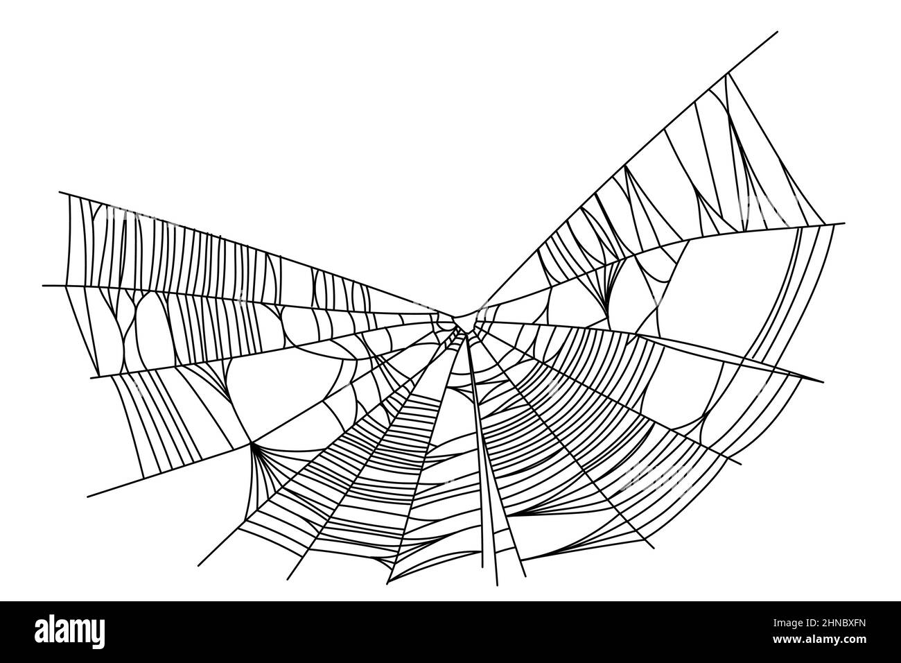 Spider web parts isolated on white background. Scary cobweb outline ...