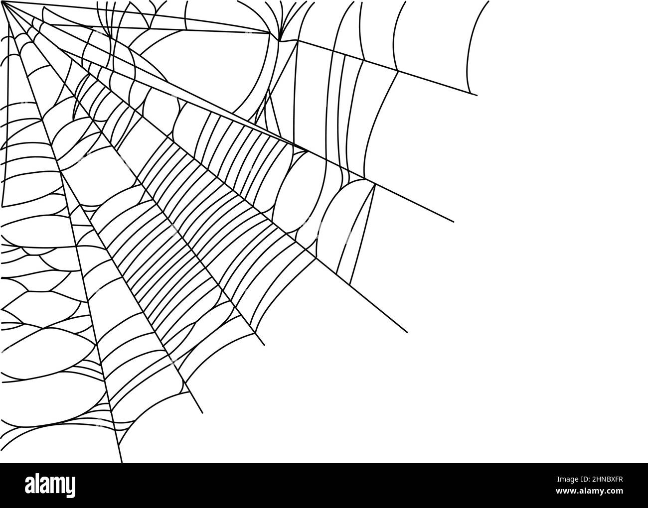 Spider web parts isolated on white background. Scary cobweb outline ...